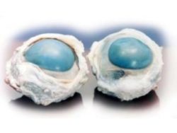 Lab Supplies | Lab Equipment | Lab Specimens