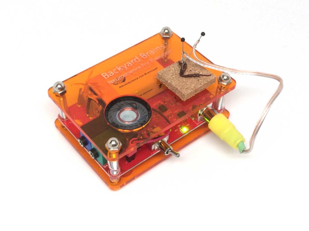 Backyard Brains Neuron SpikerBox: Neuroscience in a Box | KLM Bio ...