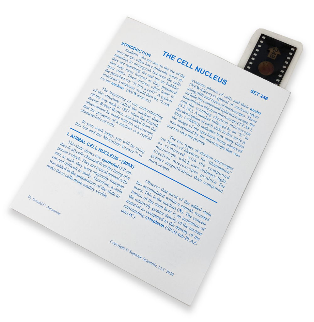 Microslide, Cell Nucleus, Set Of 15 | KLM Bio Scientific