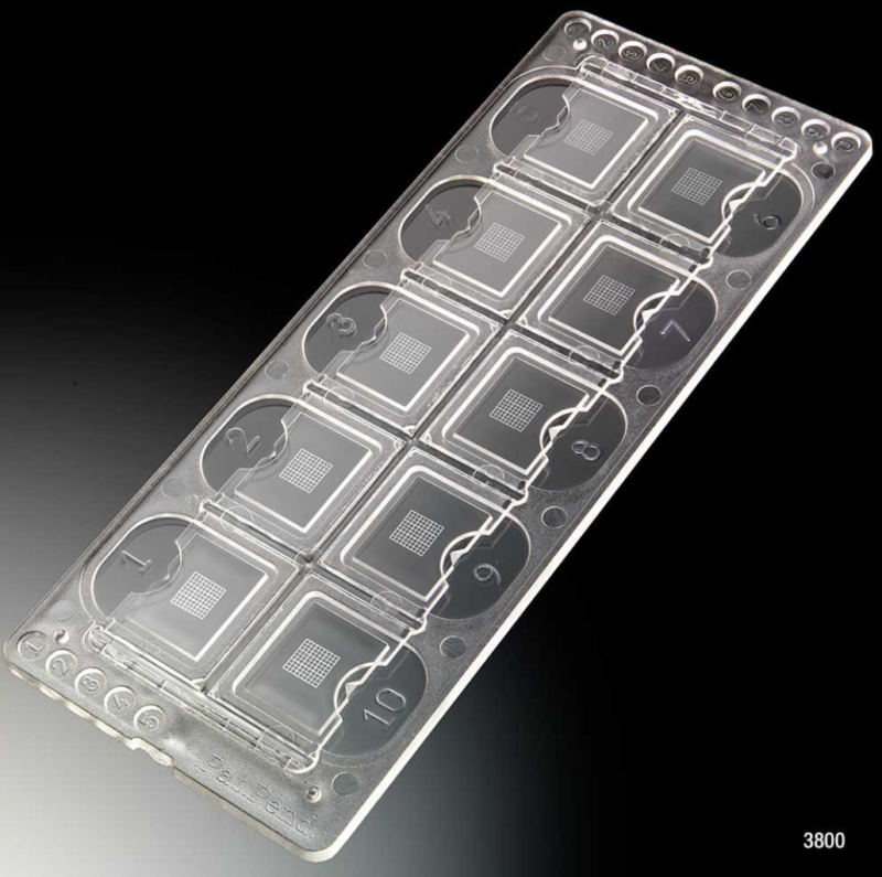 Quick-Read Urinalysis Slides | KLM Bio Scientific