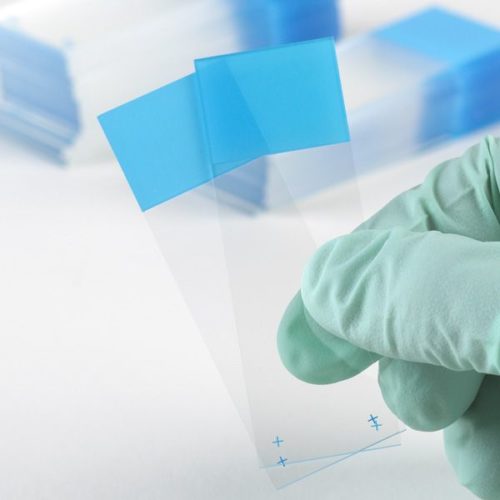 Diamond® White Glass Charged Slides with 90° Corners | KLM Bio Scientific
