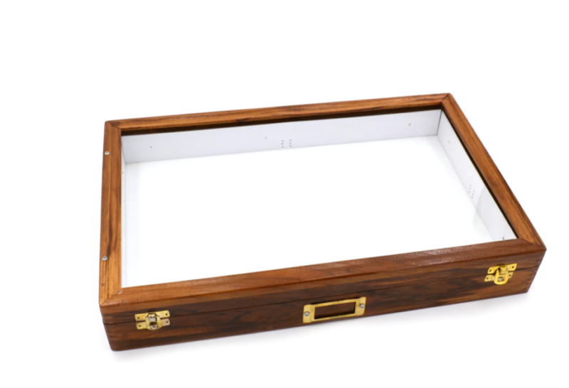 Insect Storage Box | KLM Bio Scientific