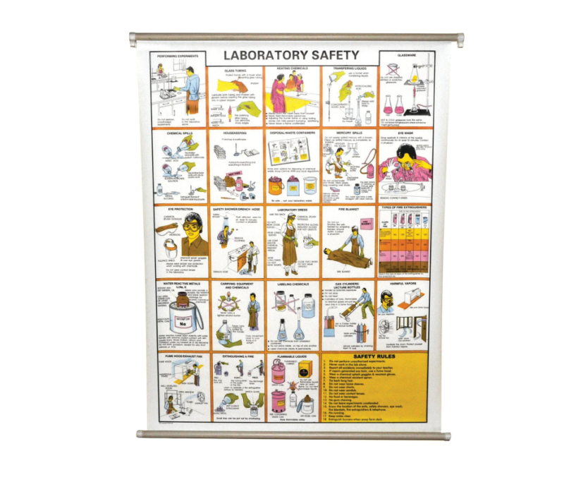 Laboratory Safety Chart, 30×40″ – Colored Illustrations – Polyart ...