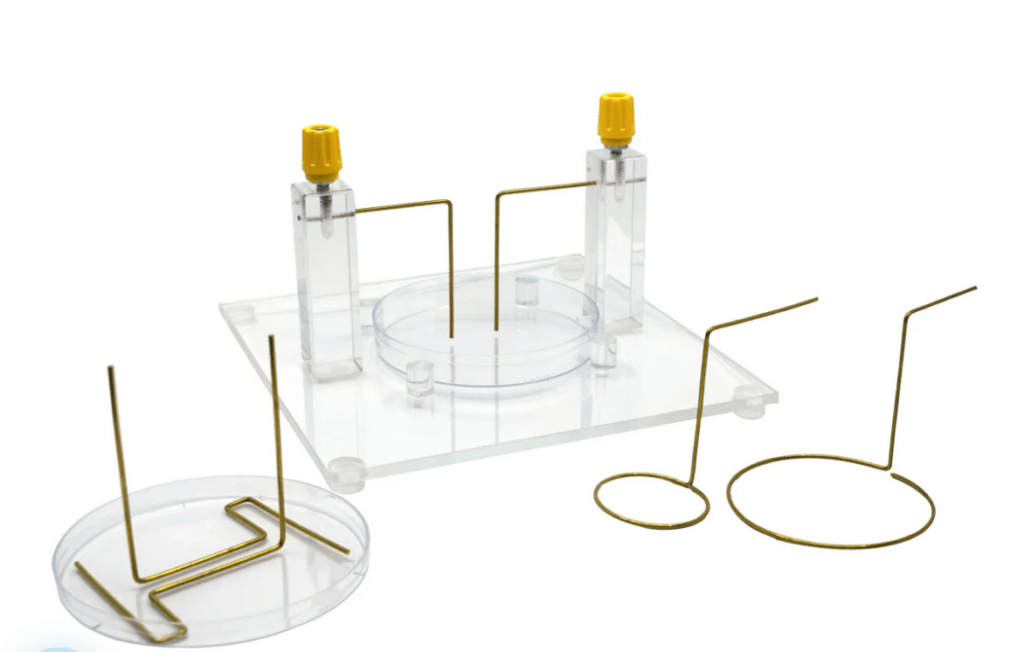 Electric Field Apparatus – For Demonstrating Electric Field Shapes ...